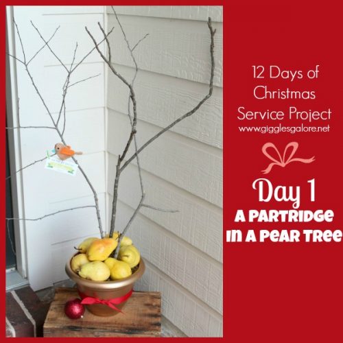 12 Days of Christmas Service Project - Giggles Galore