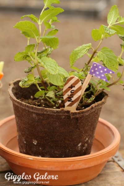 Spring Planting Party - Giggles Galore