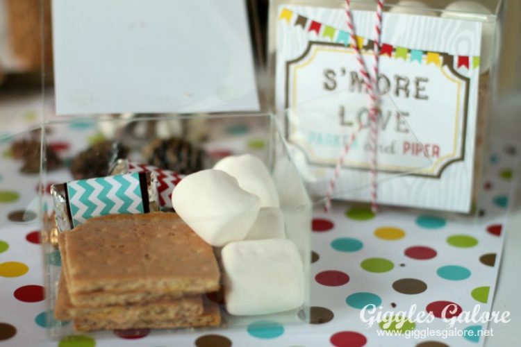 Twins Camping Themed Birthday Party - Giggles Galore