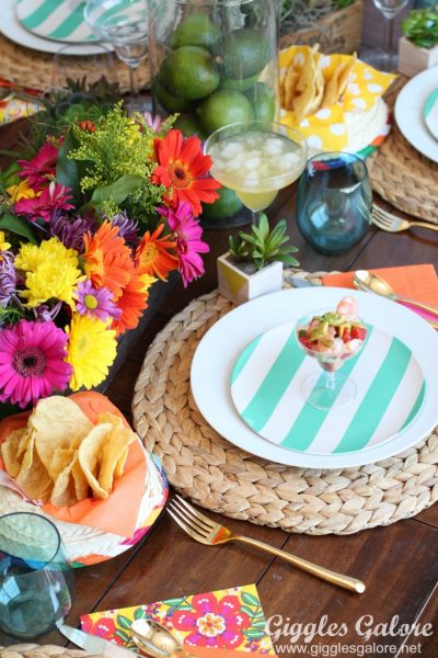 Mexican Themed Dinner Fiesta / Party (Menu Design, Recipes, etc)