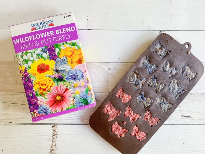 DIY Seed Bombs - Giggles Galore