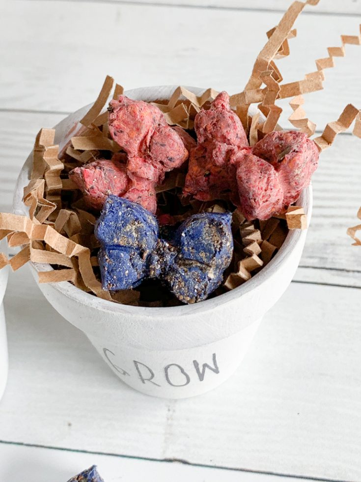 DIY Seed Bombs - Giggles Galore