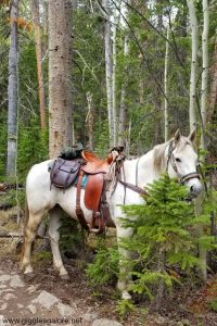 5 Days in Denver the Ultimate Family-Friendly Itinerary - Giggles Galore