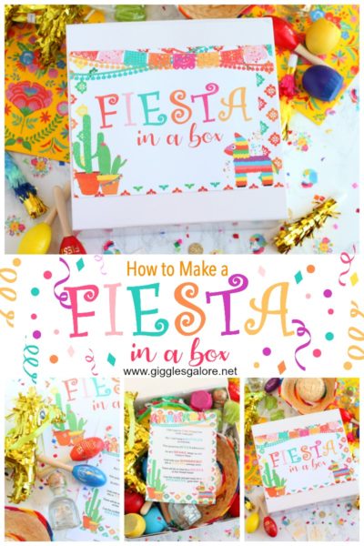 Fiesta in a Box Gift Idea - Giggles Galore