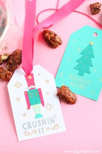 Sweet and Spicy Holiday Nuts & DIY Gift Bags - Giggles Galore