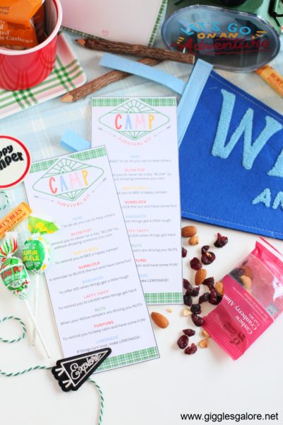 Summer Camp Survival Kit with Free Printables - Giggles Galore